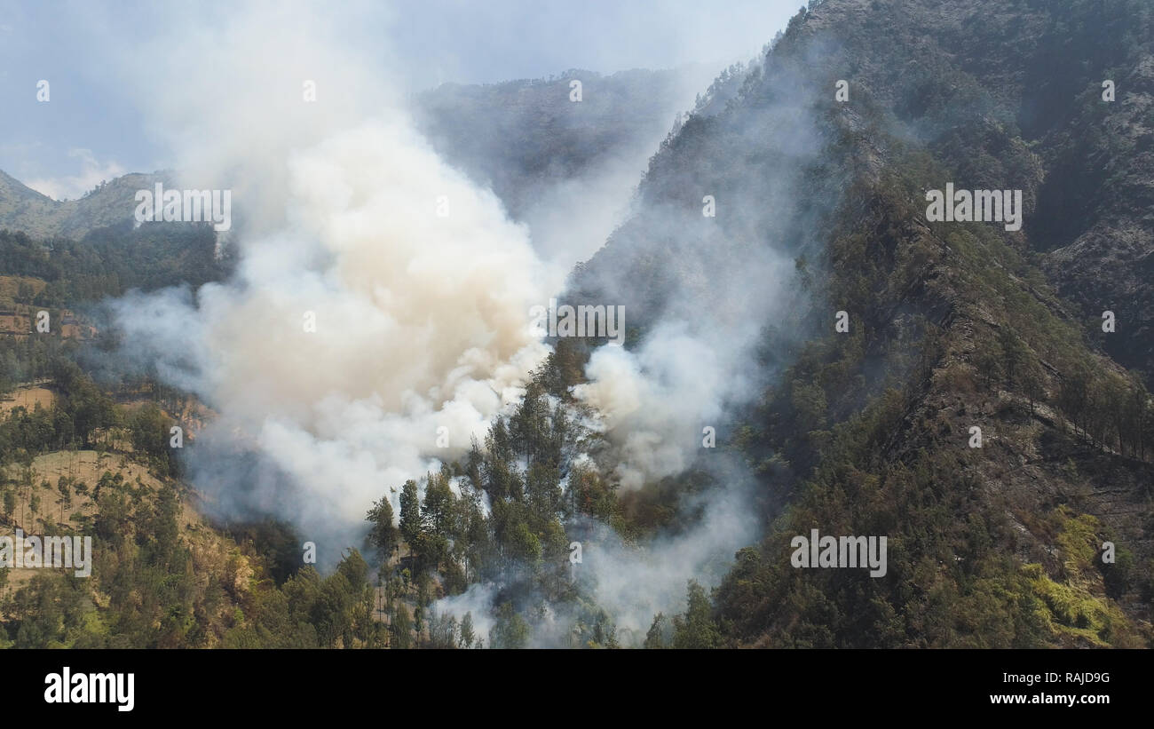 fire in mountain forest. aerial view forest fire and smoke on slopes ...