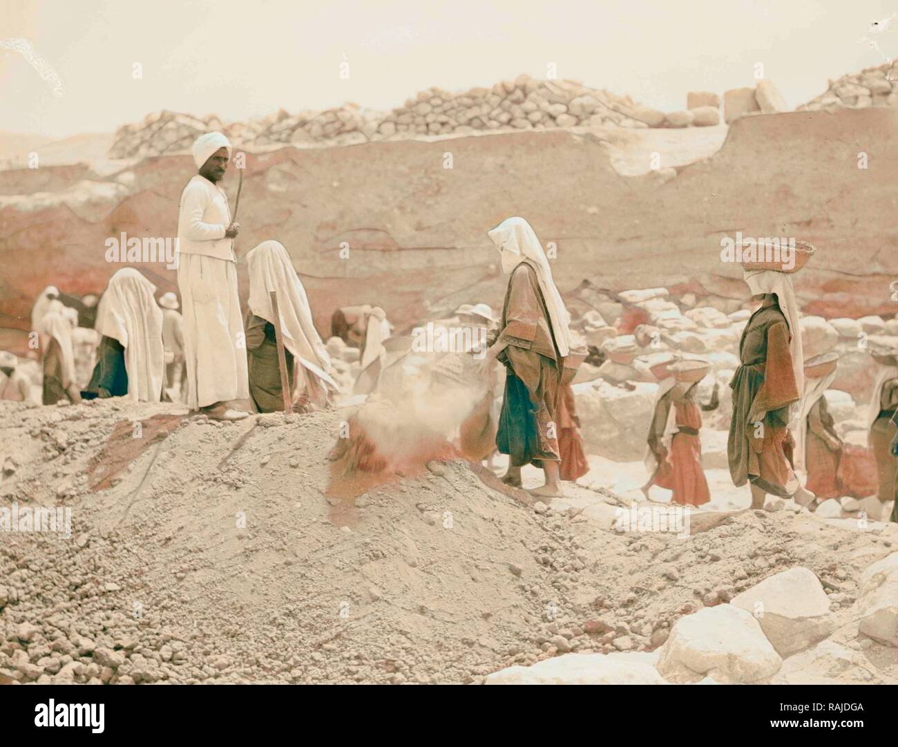 Task extinct hi-res stock photography and images - Alamy