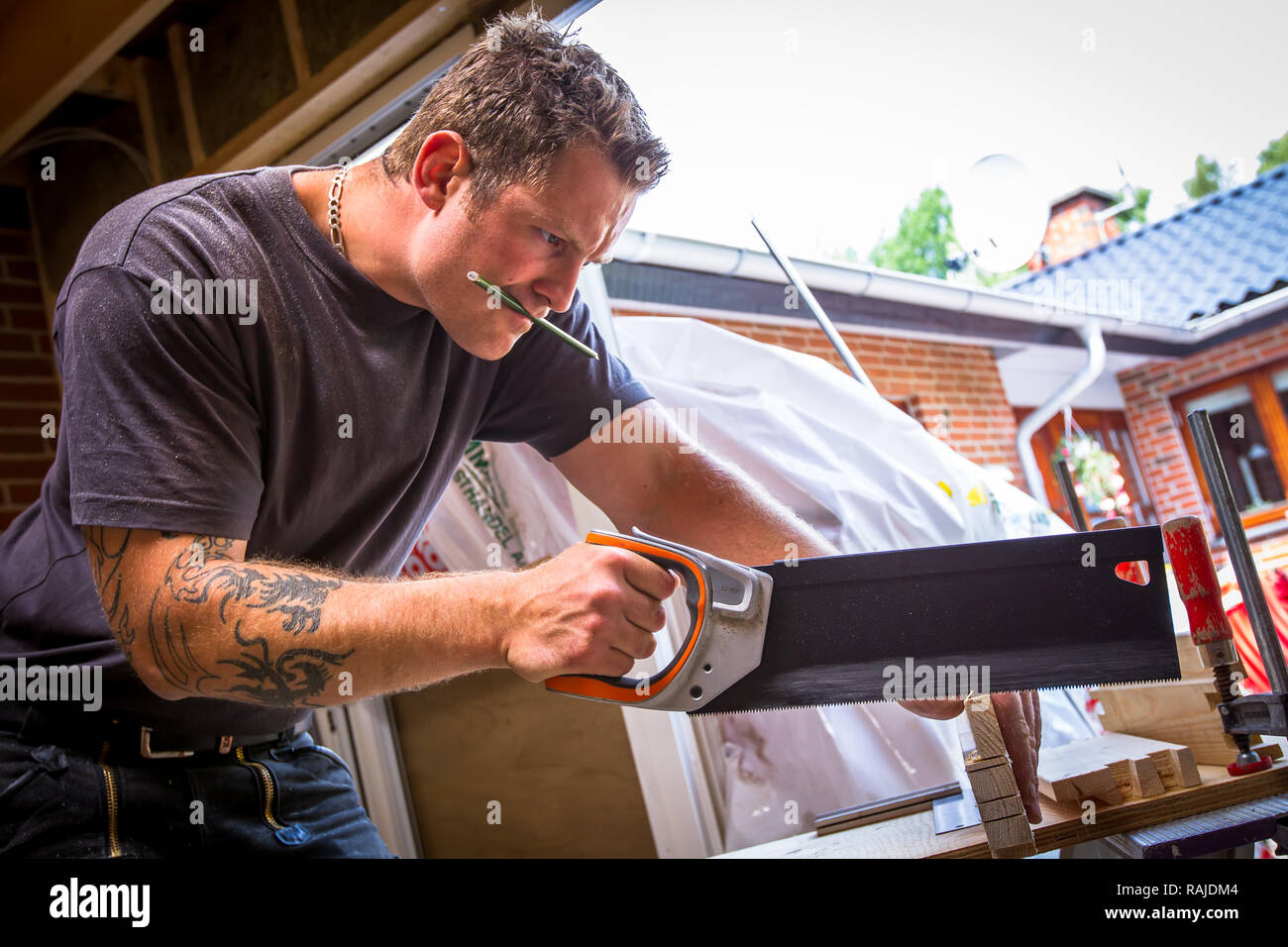 Strong and confident carpenter with saw and timber making a new ...