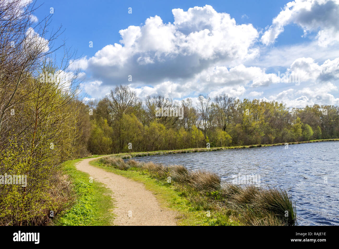 Quickborn hi-res stock photography and images - Alamy