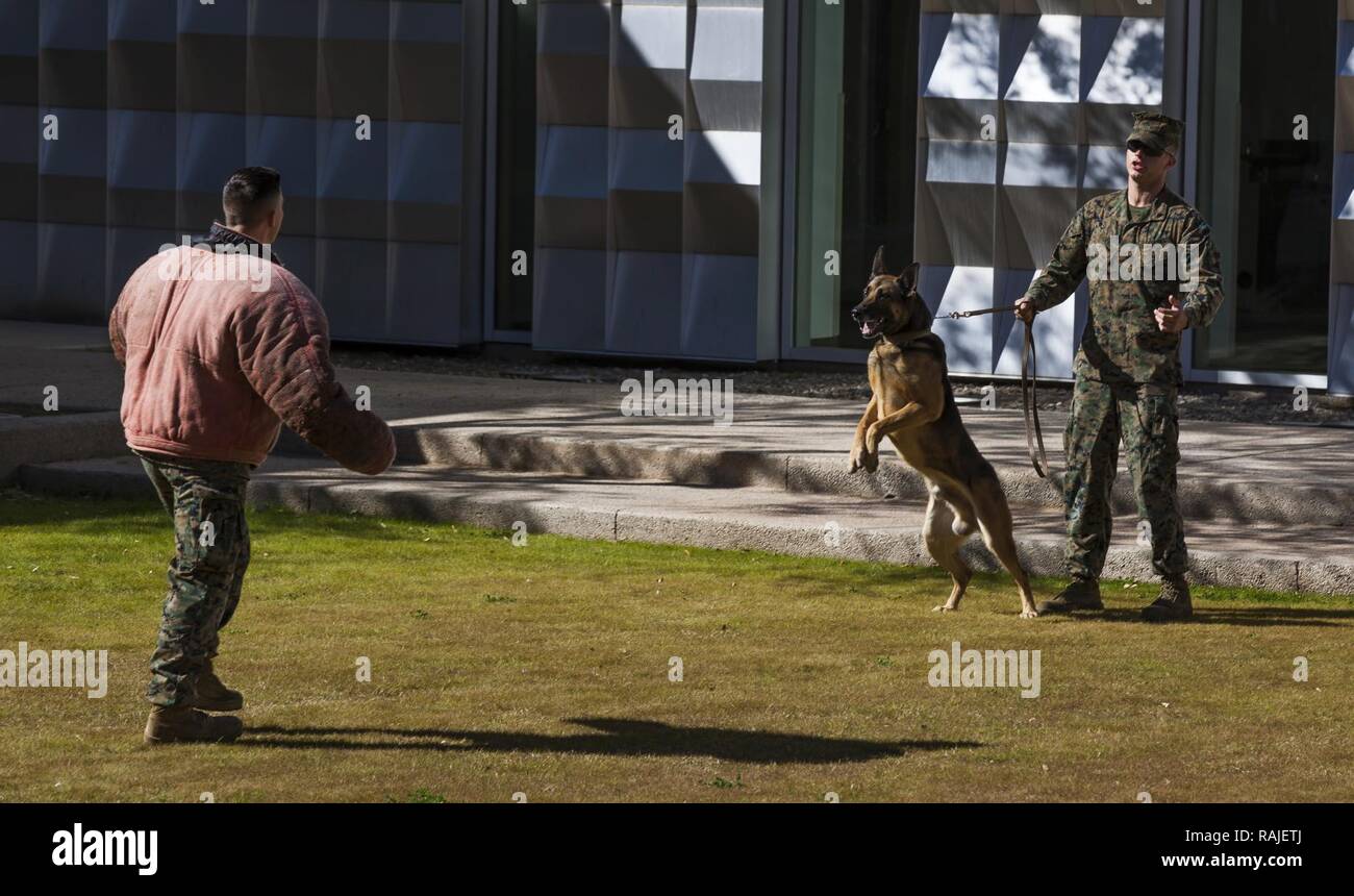 Marine aggressor squadron hi-res stock photography and images - Alamy