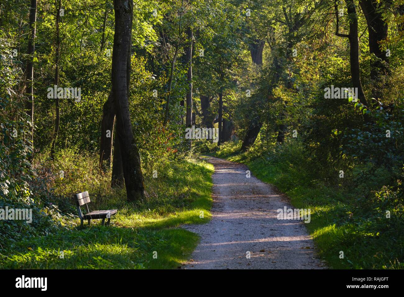 Wanderweg hi-res stock photography and images - Alamy
