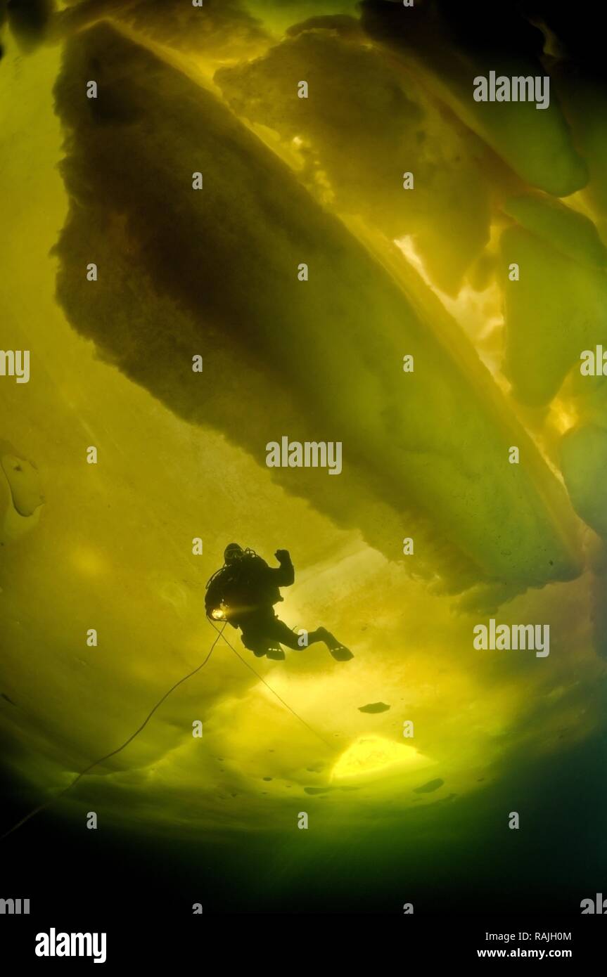 Arctic sea ice sets hi-res stock photography and images - Alamy