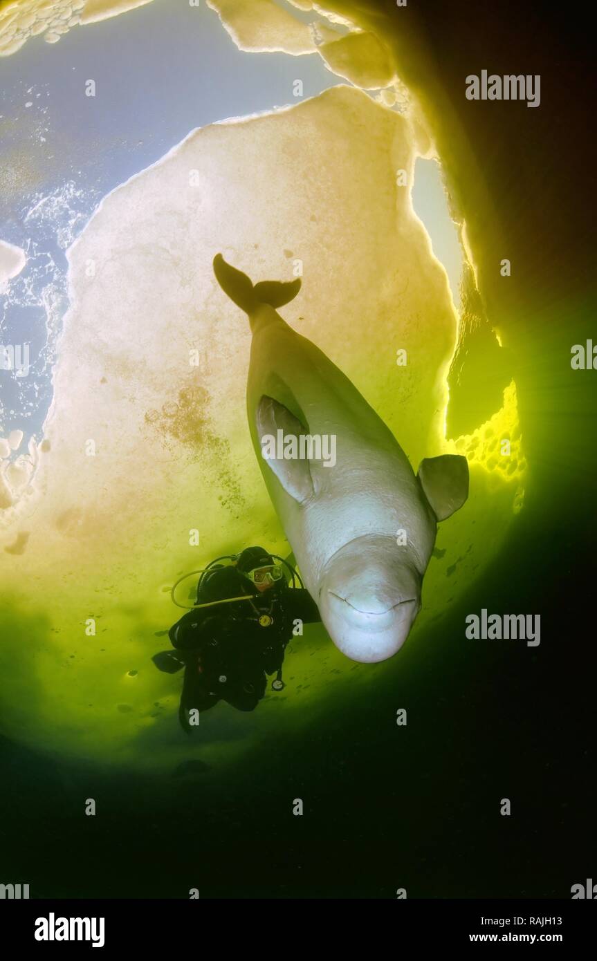 Humanheadlong hi-res stock photography and images - Alamy