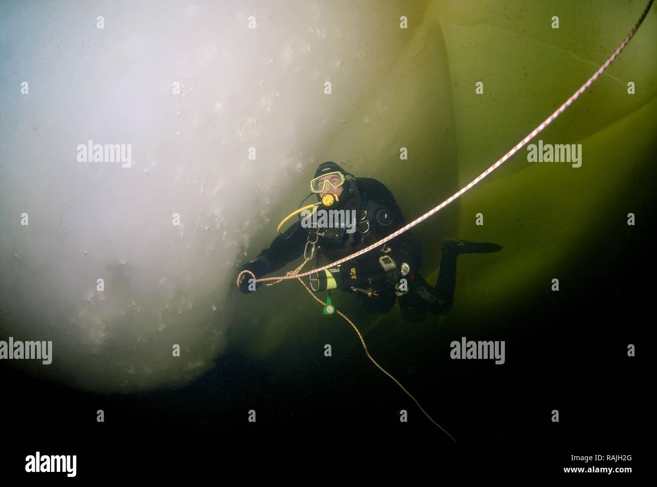 Diver, ice-diving, White Sea, north Russia, Arctic Stock Photo - Alamy