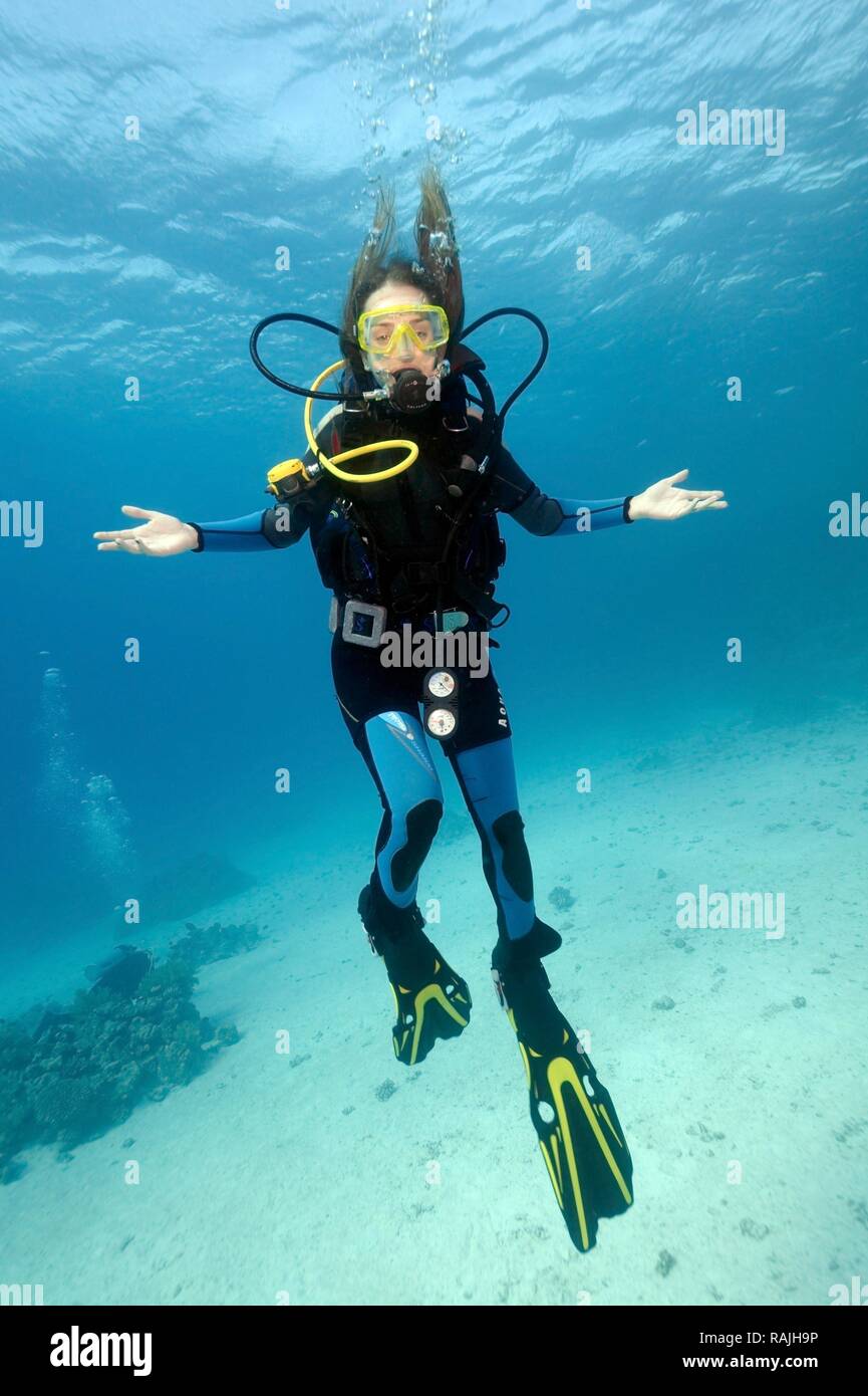 Diver red sea hi-res stock photography and images - Alamy