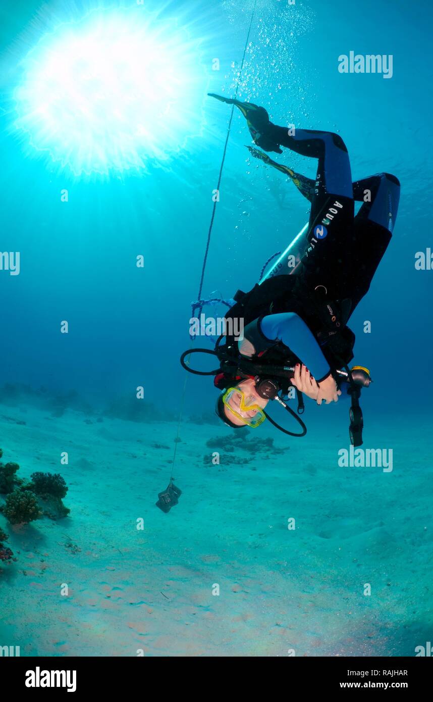 Diver, Red Sea, Egypt, Africa Stock Photo - Alamy
