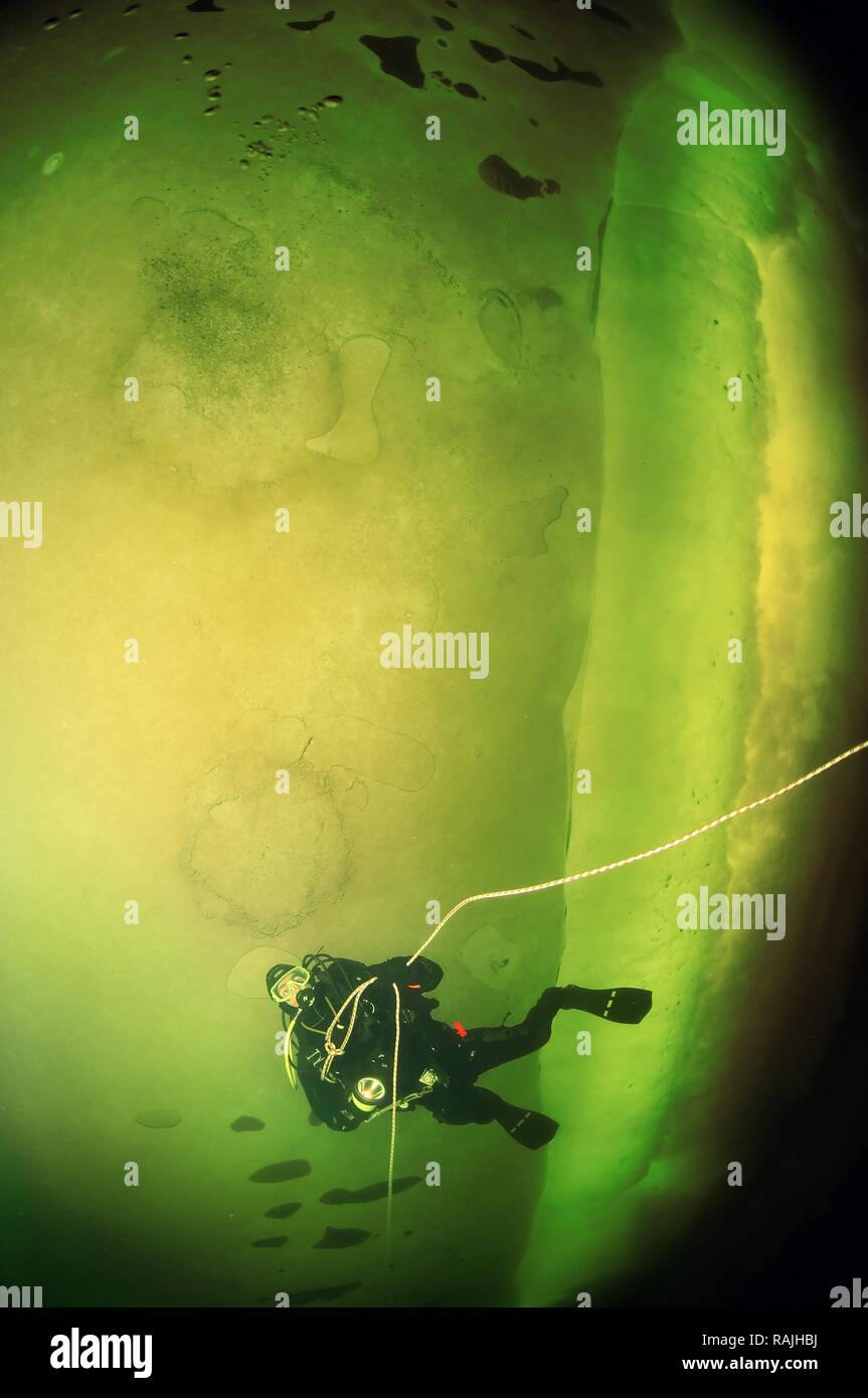 Diver, ice-diving in White Sea, Karelia, north Russia, Arctic Stock ...