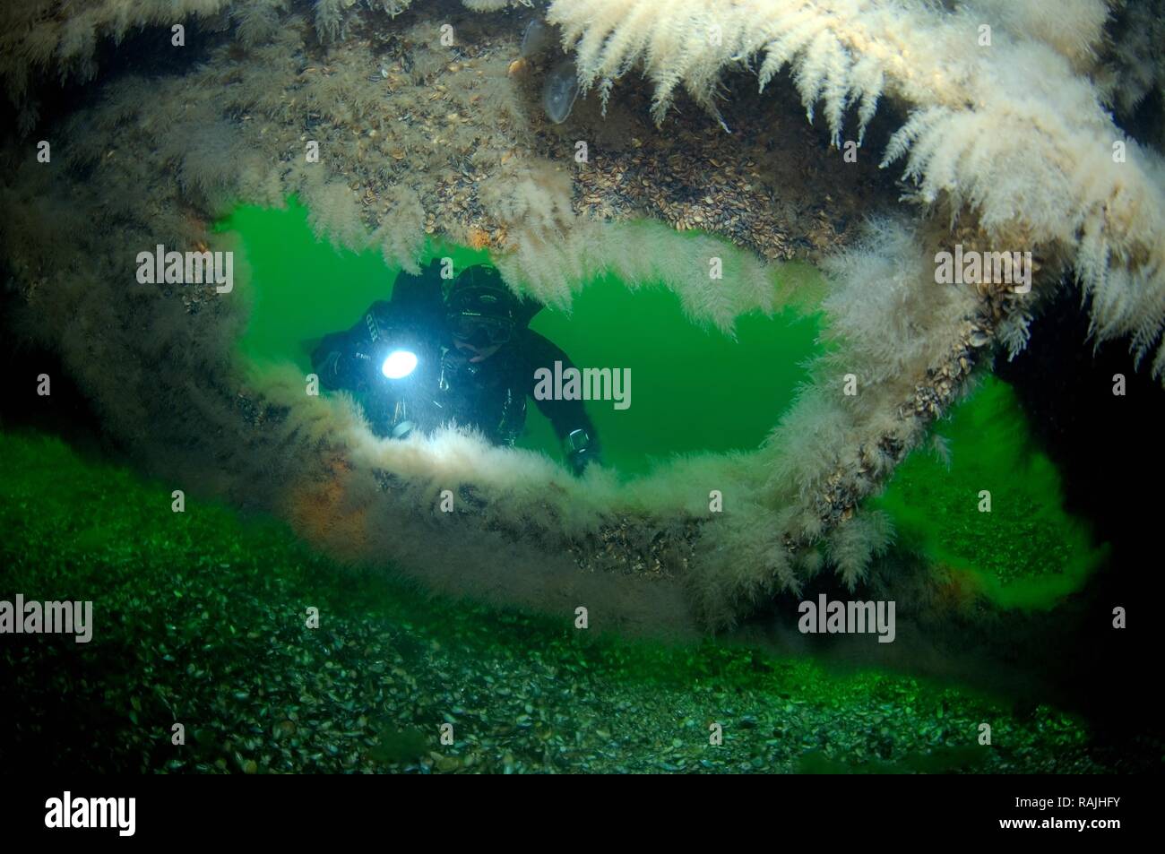 German diver hi-res stock photography and images - Alamy