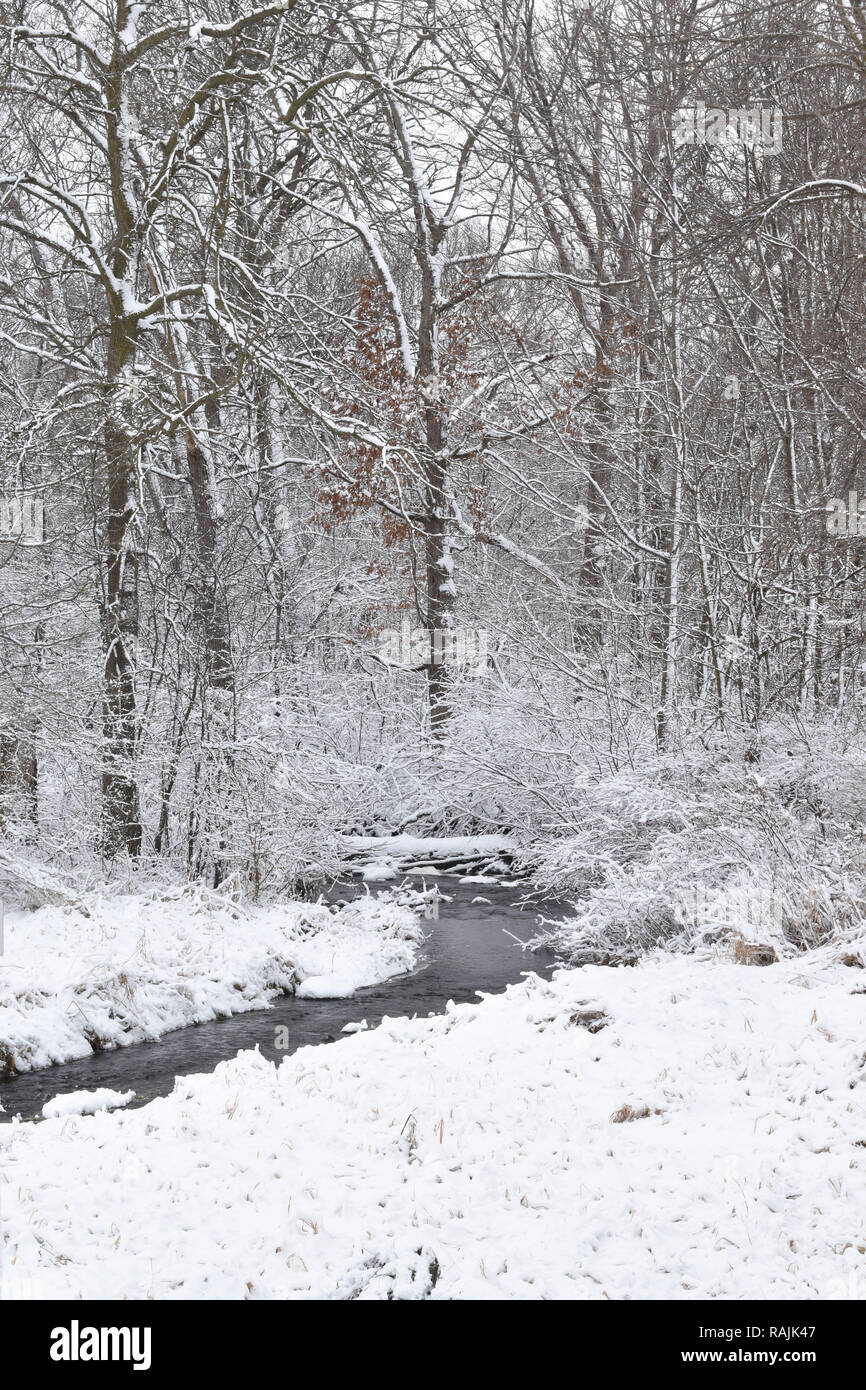 Stream with trees and grass hi-res stock photography and images - Alamy