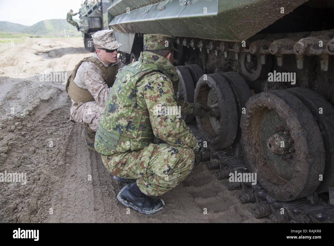 U.S. Marine Pfc. Keith Miller, an Assault Amphibious Vehicle (AAV ...