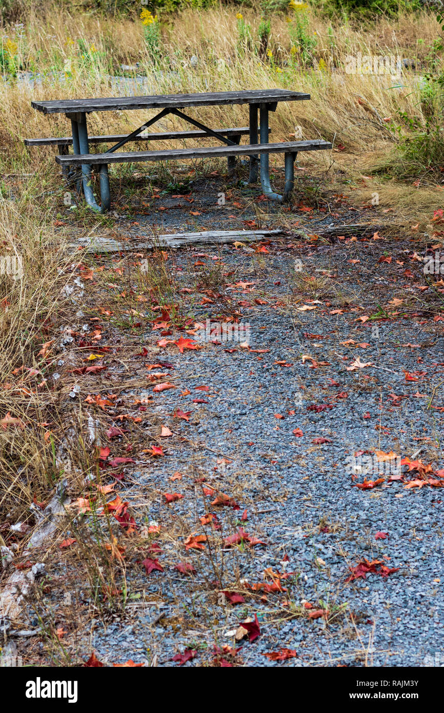 Fall day picnic table with fresh fallen brown and yellow leaves and ...