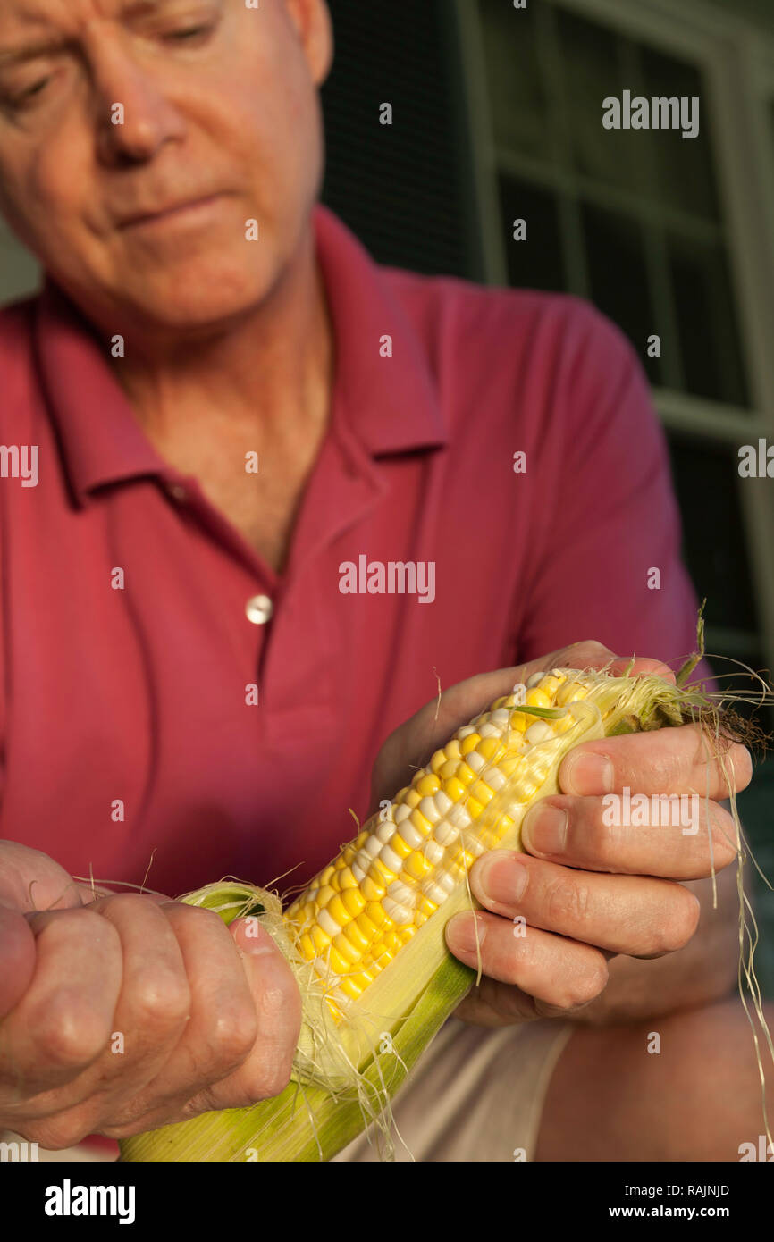 Shucking corn hi-res stock photography and images - Alamy