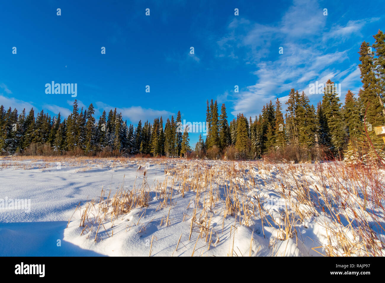 Sunshine after ice storm hi-res stock photography and images - Alamy