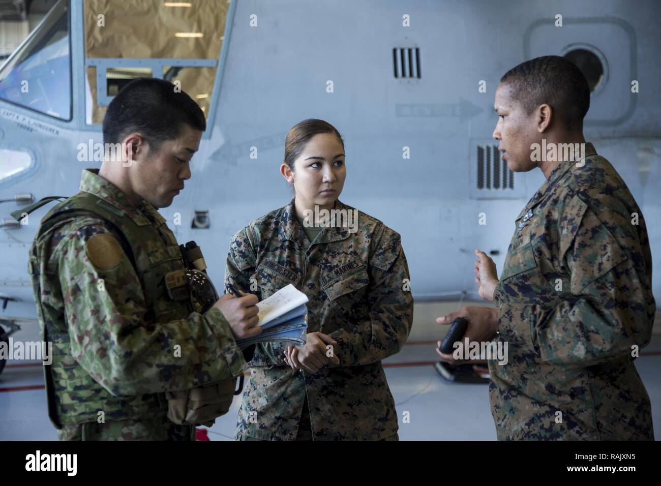 Winchester military base hi-res stock photography and images - Alamy
