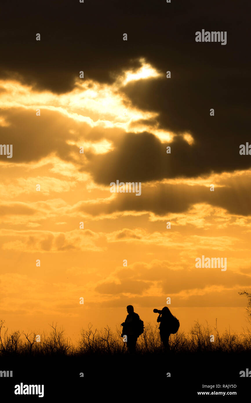 Photographers silhouette, Arthur R. Marshall Loxahatchee National ...