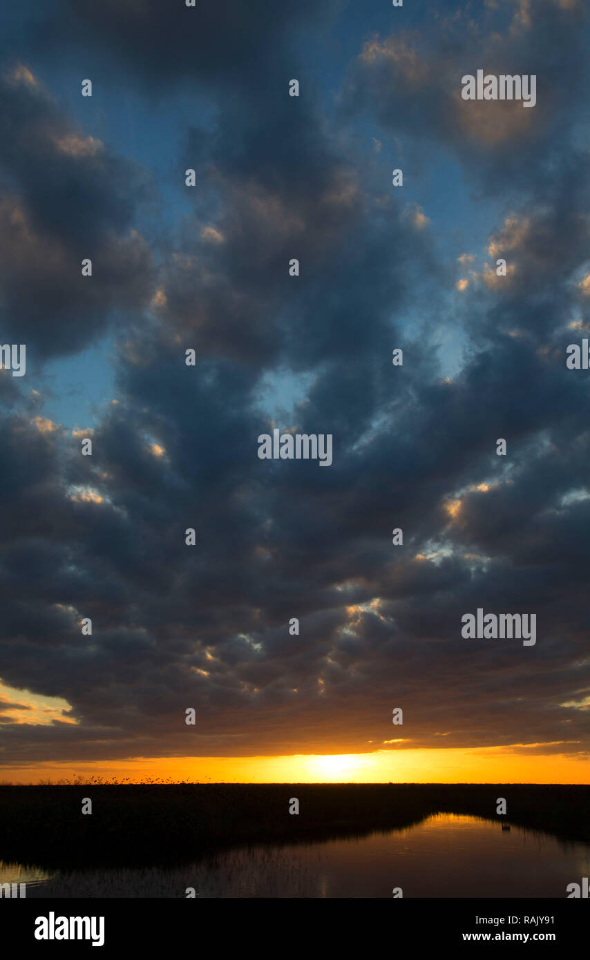 Florida sunset wetland hi-res stock photography and images - Alamy