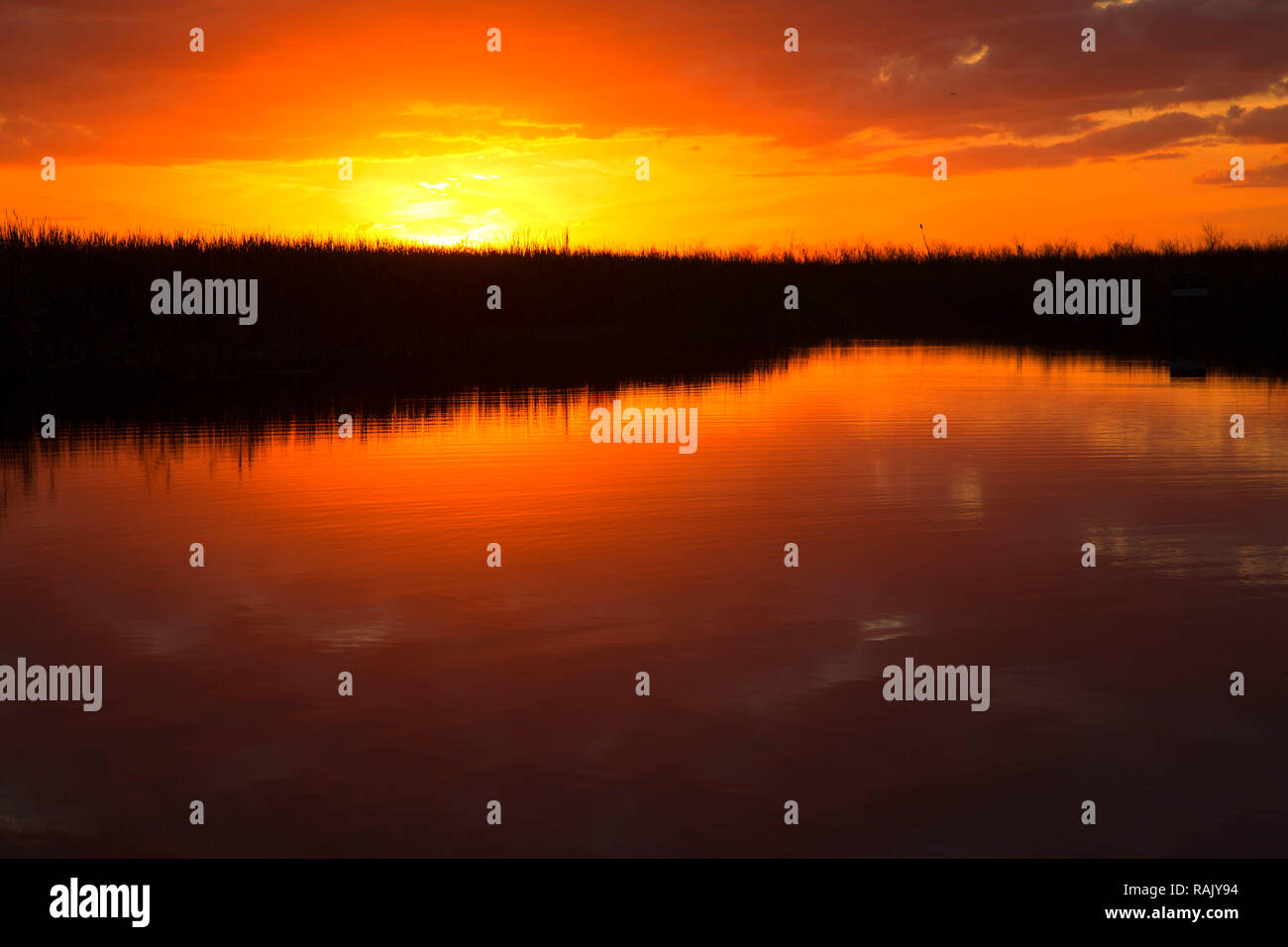 Wetland everglades sunset hi-res stock photography and images - Alamy