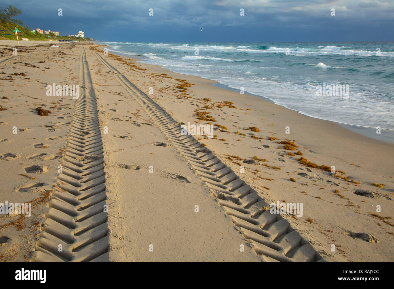 Beach tire tracks, South Beach Park, Boca Raton, Florida Stock Photo ...