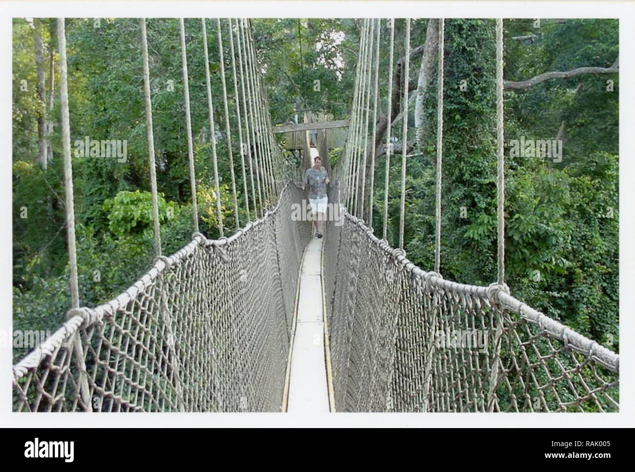 MAN WALKING ACROSS ROPE BRIDGE Stock Photo - Alamy