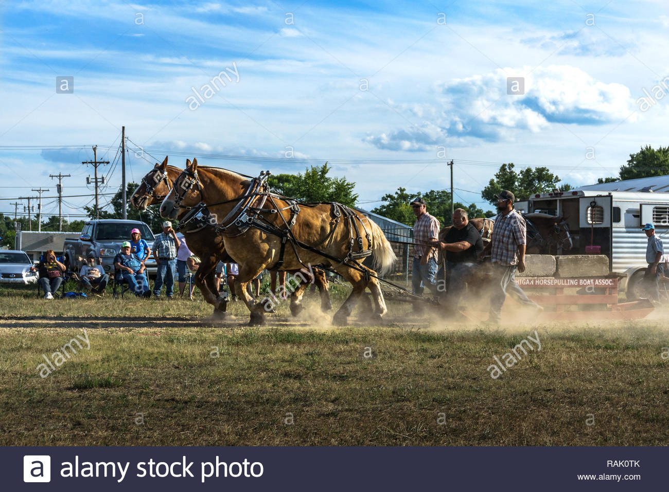 Horses Pulling Sled Stock Photos & Horses Pulling Sled Stock Images - Alamy