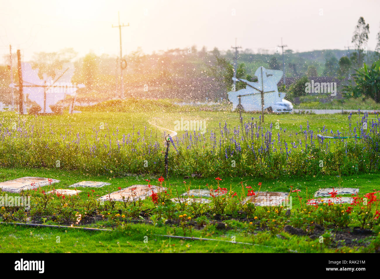 springer water / green field and flower with springer water garden on ...