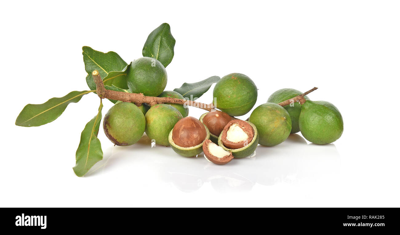 macadamia nuts on white background Stock Photo - Alamy
