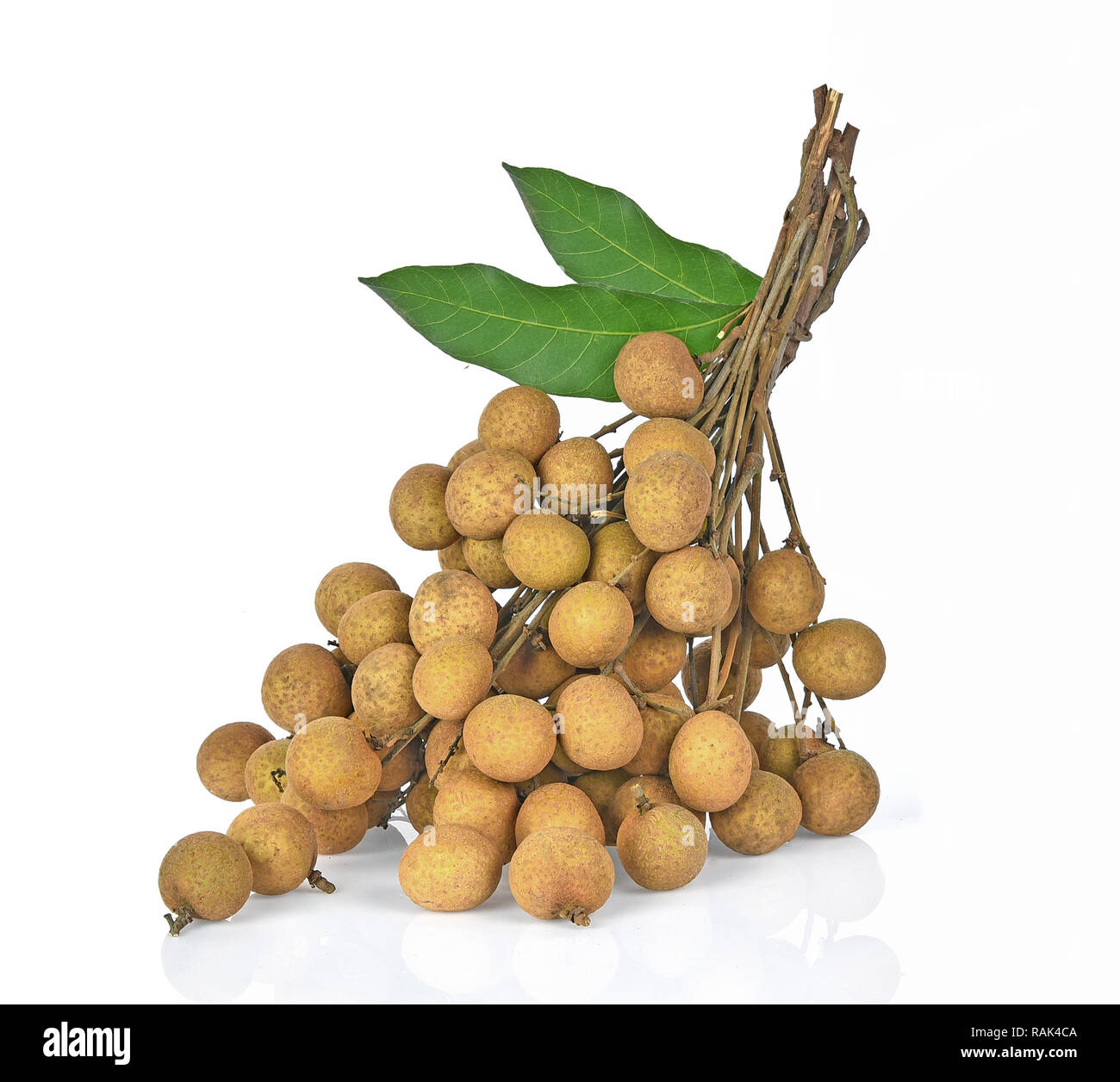 longan isolated on white background Stock Photo - Alamy