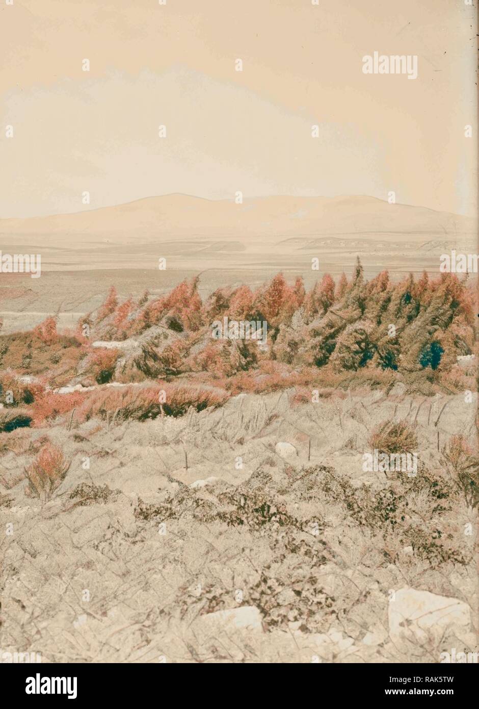 Hill of Moreh and the Plain of Esdraelon 1900, Israel. Reimagined by ...