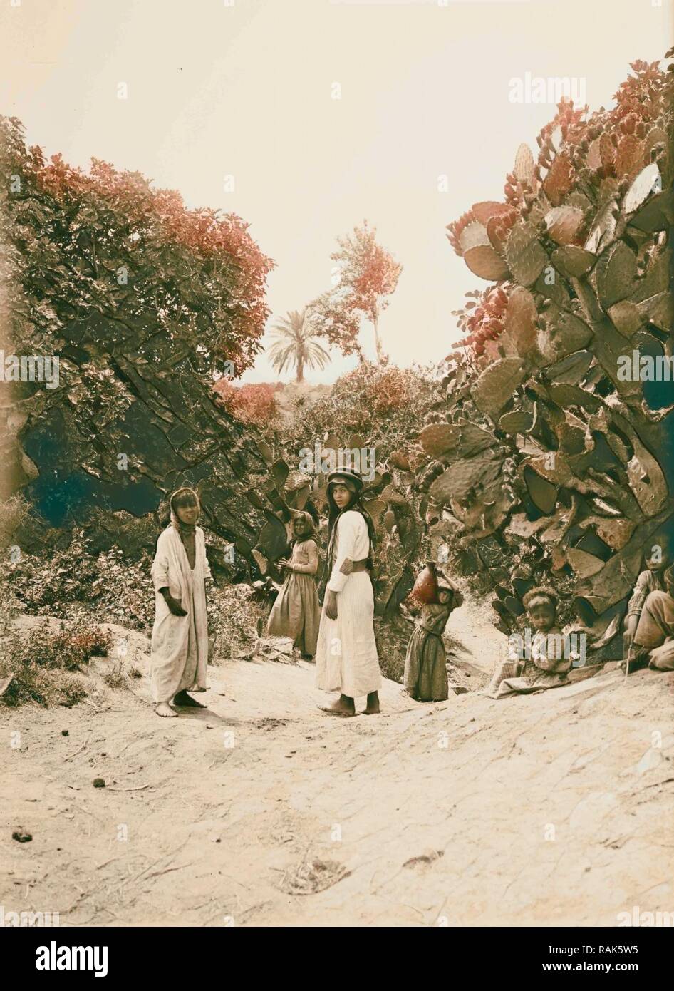 Shunem hi-res stock photography and images - Alamy