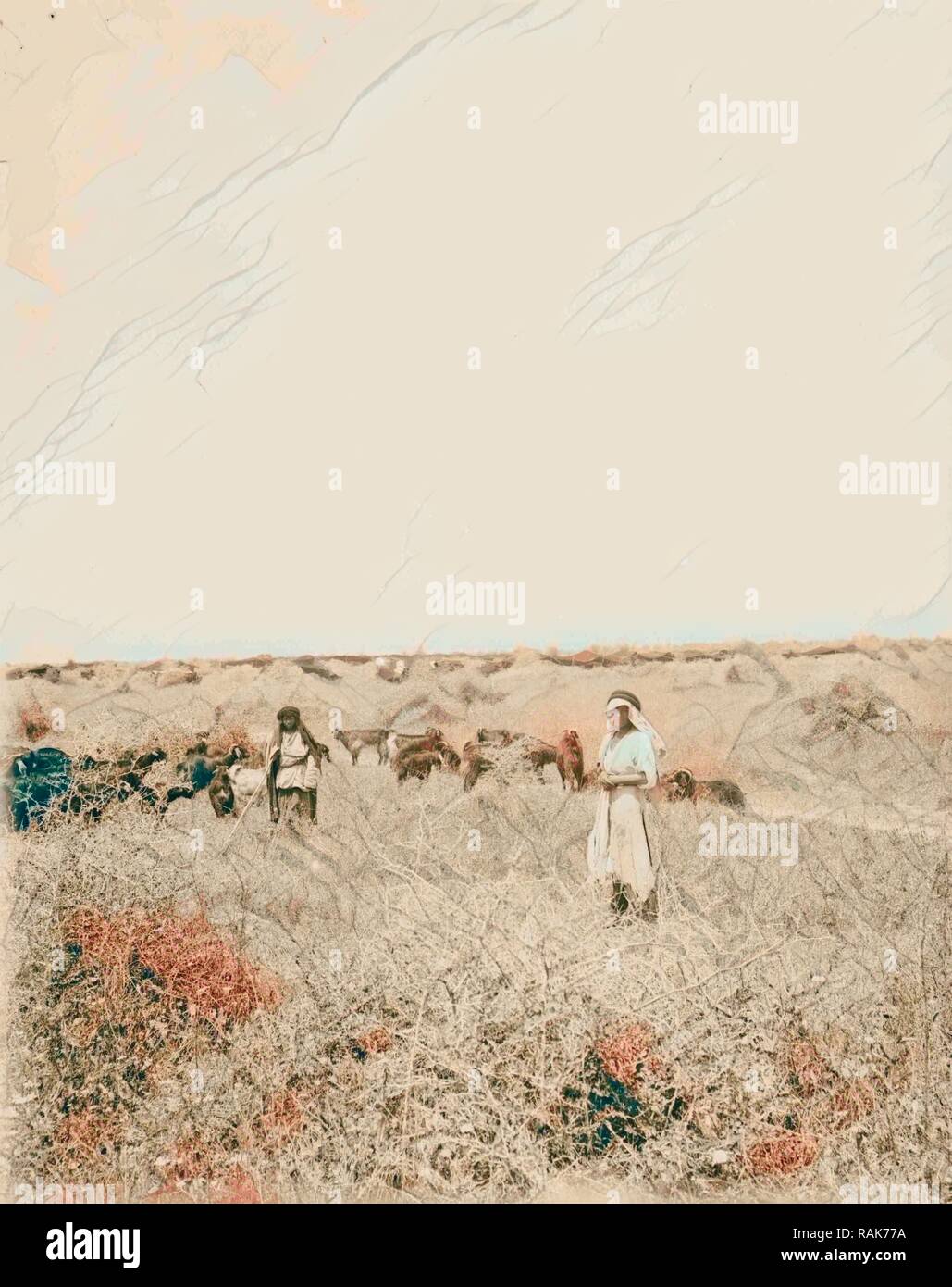 Bedouin with his flock arabian desert hi-res stock photography and ...