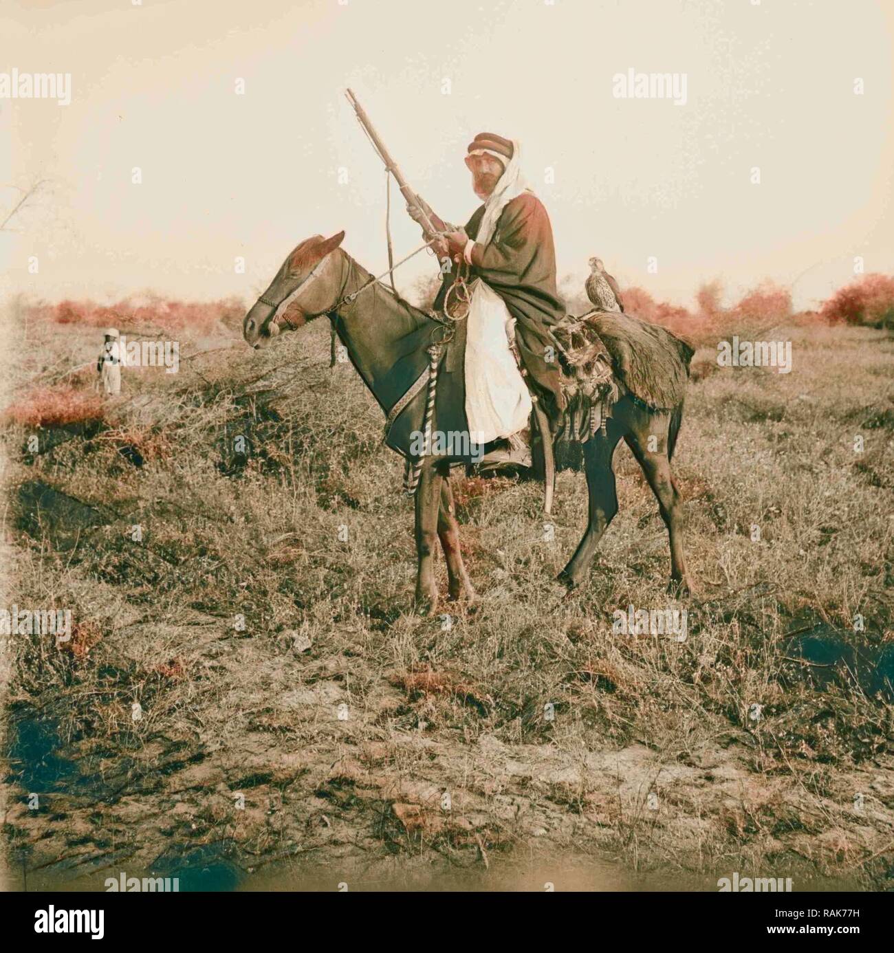 Bedouin wedding Bedouin hunter with his falcon 1900, the Bedouin are a ...
