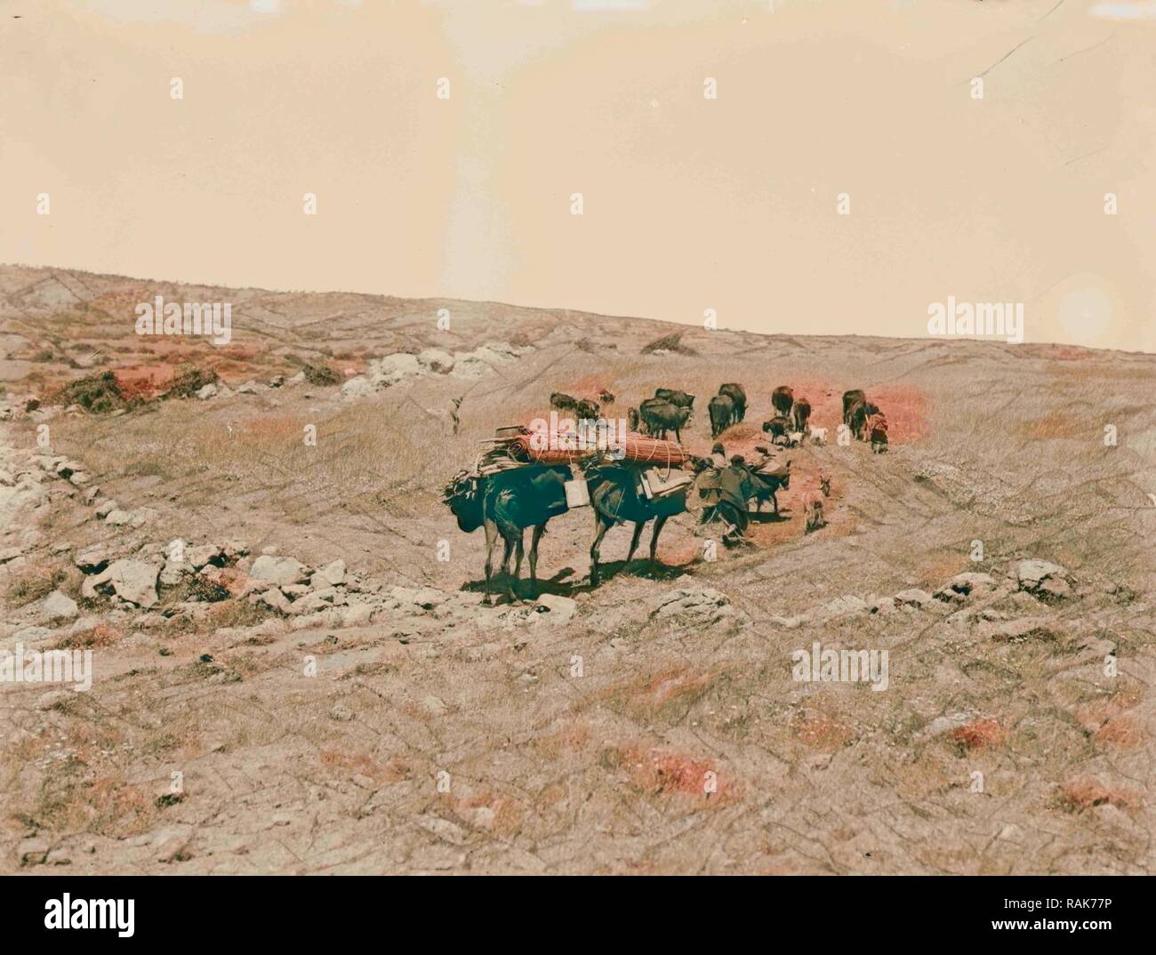 Bedouin wedding Bedouin family, moving 1900, the Bedouin are a grouping ...