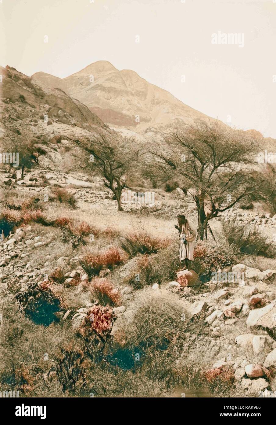 Around the Dead Sea Scene at 'Ain Jiddy 1900, Mountains, Shrubs, The ...