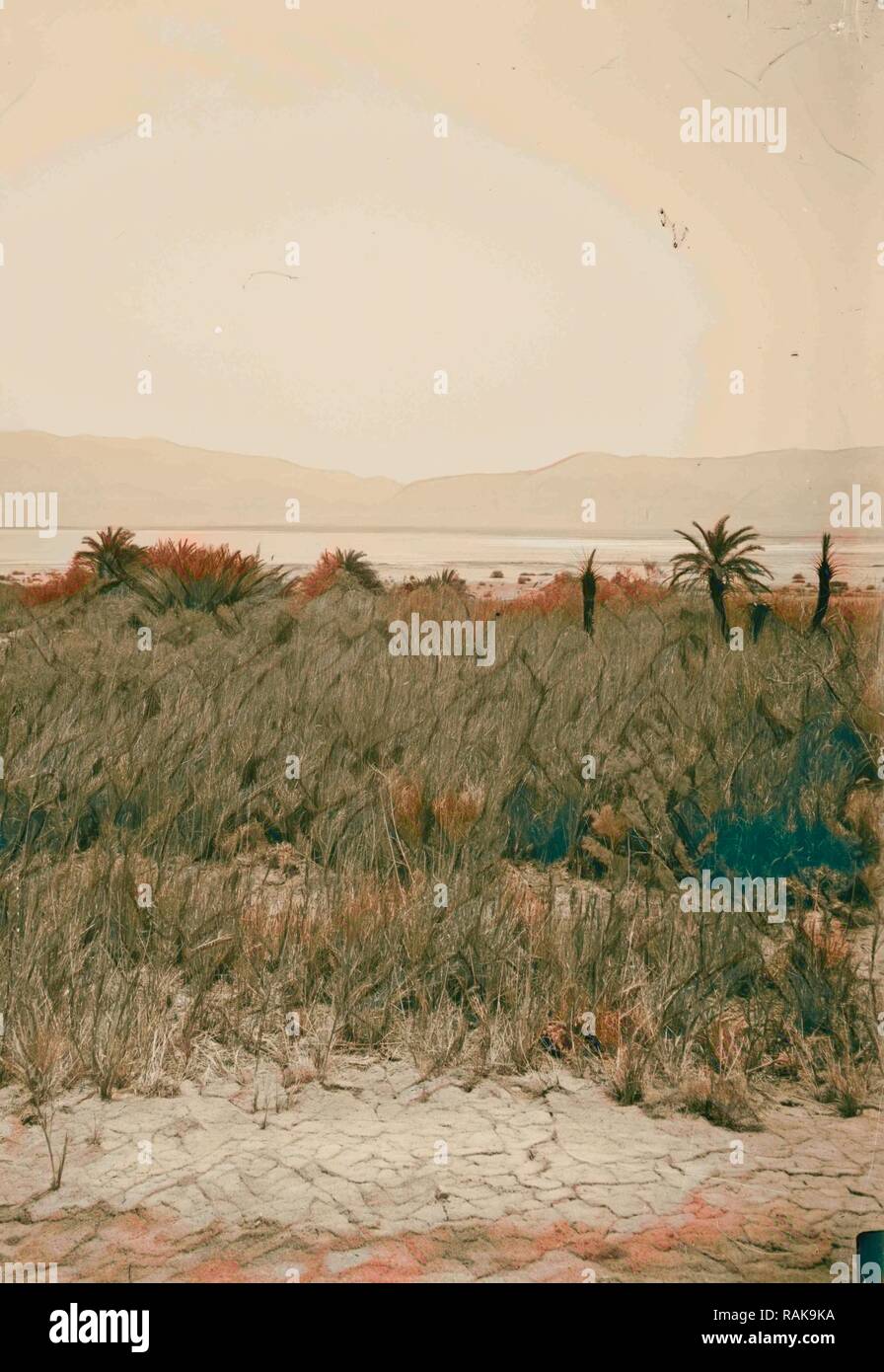 Around the Dead Sea The south end of the Dead Sea 1900, The Dead Sea ...