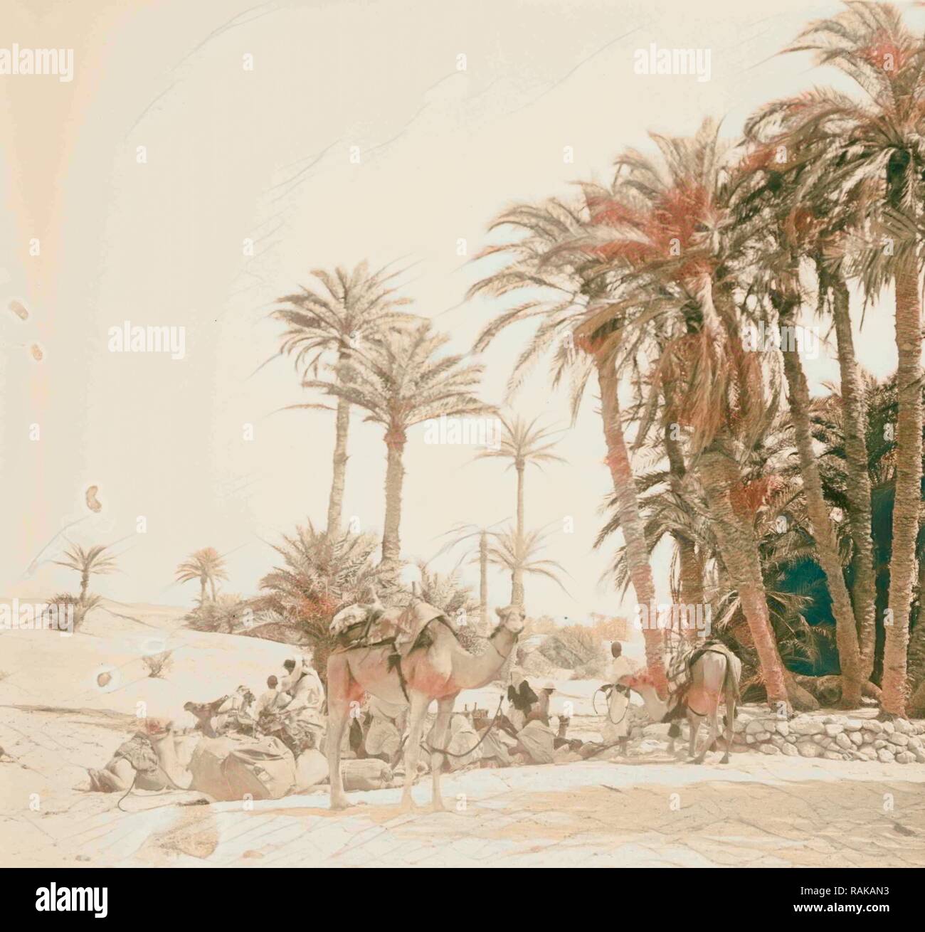 To Sinai via the Red Sea, Tor, and Wady Hebran. Halt at the wells of el ...