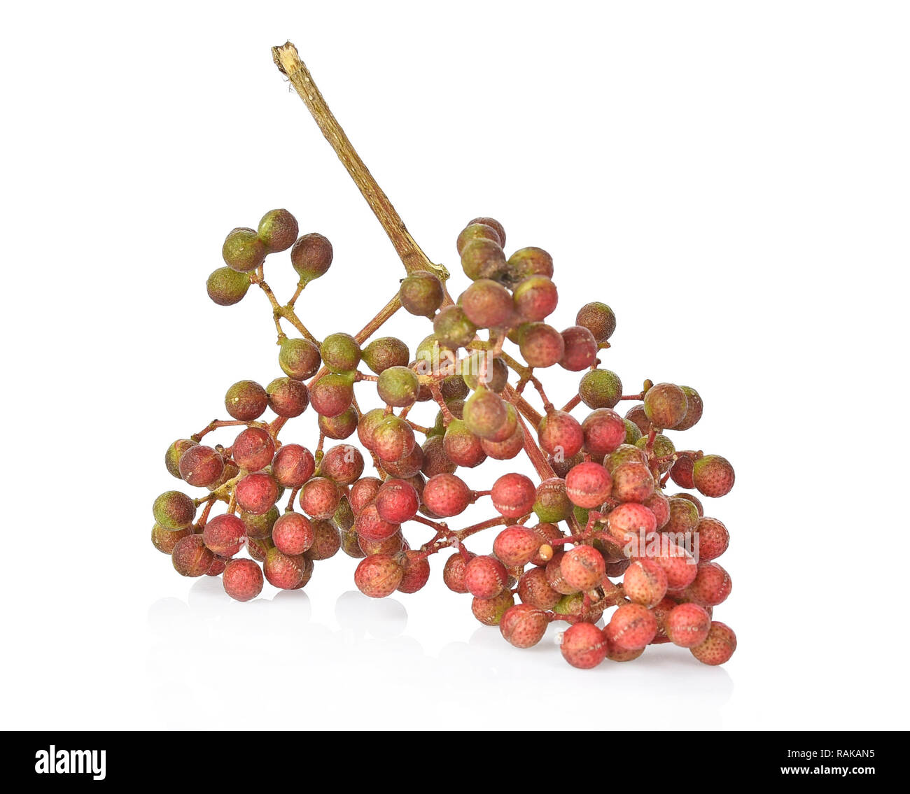 Zanthoxylum limonella hi-res stock photography and images - Alamy