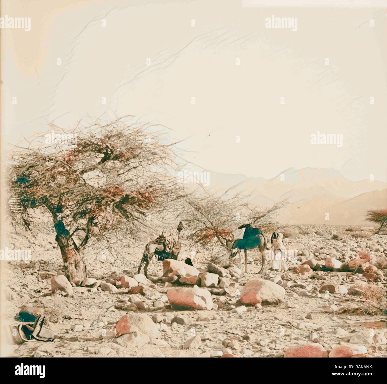 To Sinai via the Red Sea, Tor, and Wady Hebran. Ascending the Wady ...