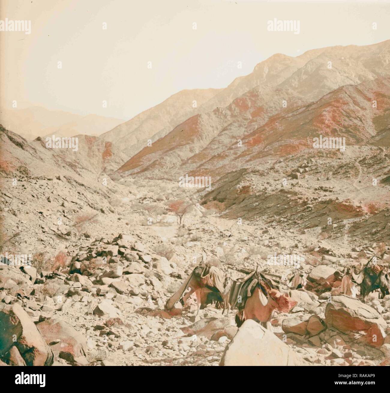 To Sinai via the Red Sea, Tor, and Wady Hebran. Narrow defile at the ...