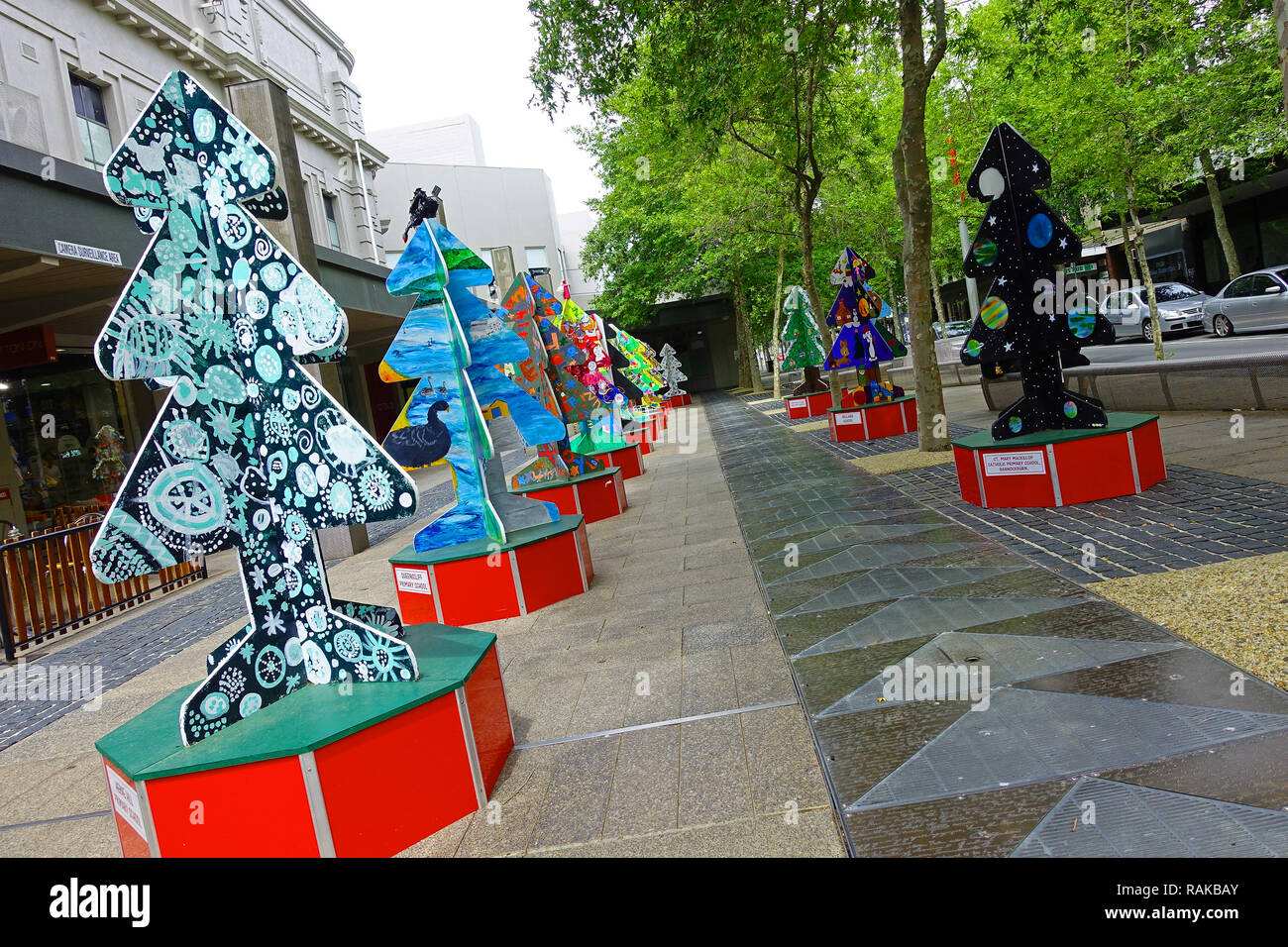 Australian christmas tree hi-res stock photography and images - Alamy