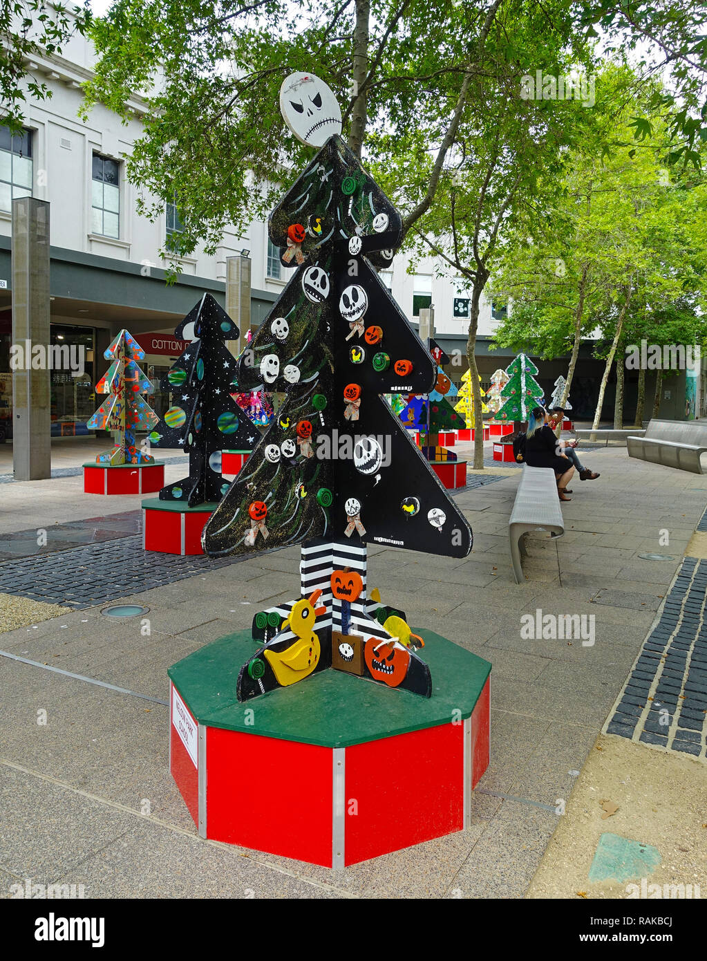 Australian christmas tree hi-res stock photography and images - Alamy