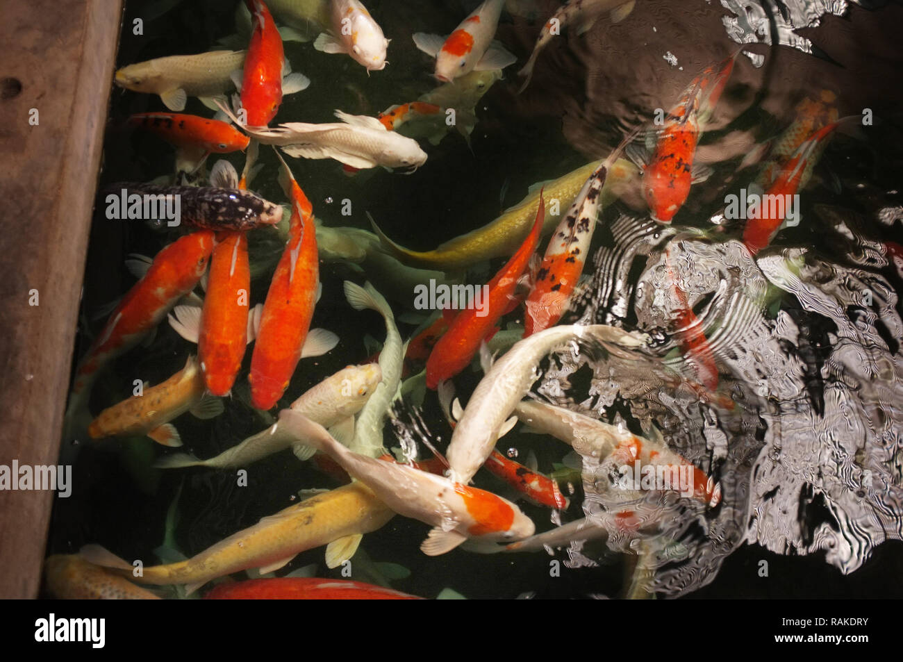 Colorful chinese abstract background hi-res stock photography and ...