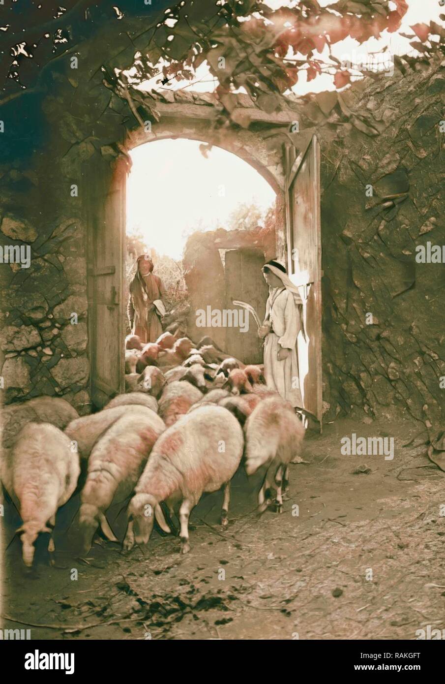 Agriculture, Shepherd scenes 'Passing under the Rod.' Ezek. 2037. Sheep ...