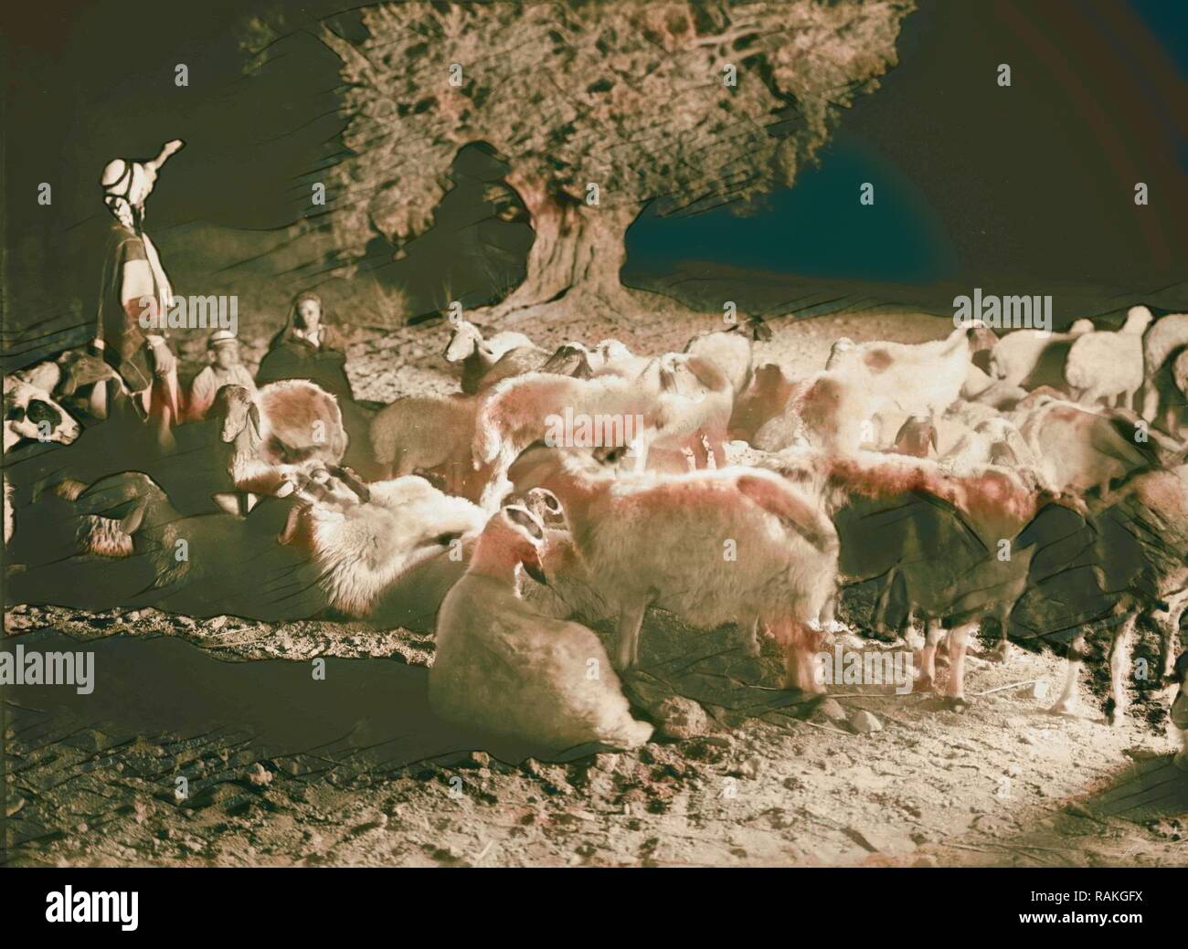 Agriculture, Shepherd scenes Sheep at night. Pastoral night scene in ...