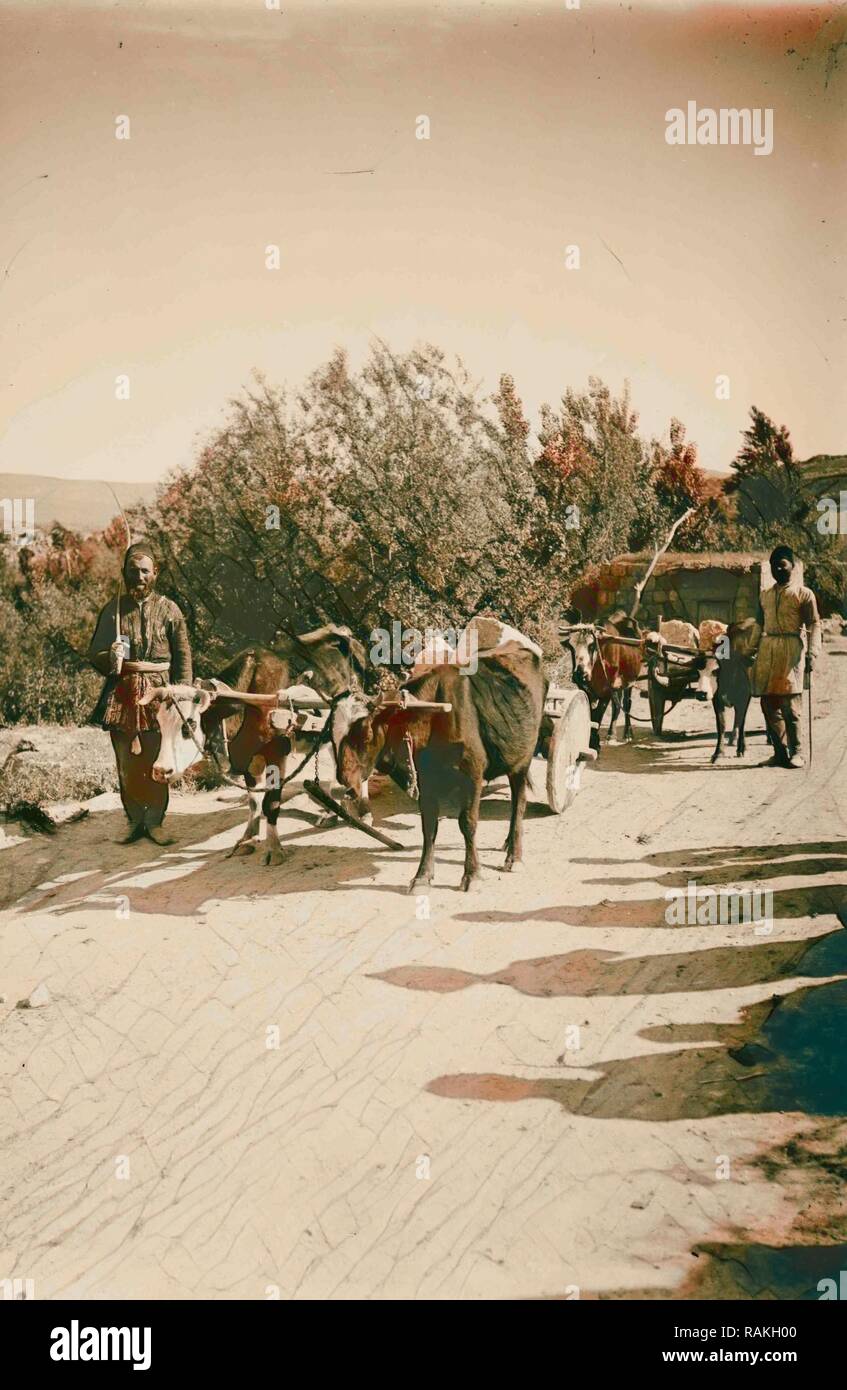 East of the Jordan and Dead Sea. Circassian ox-carts 1900, Jordan ...