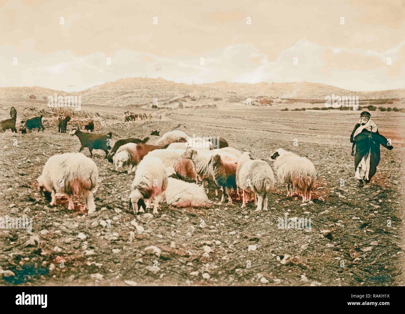 Shepherds fields bethlehem israel hi-res stock photography and images ...