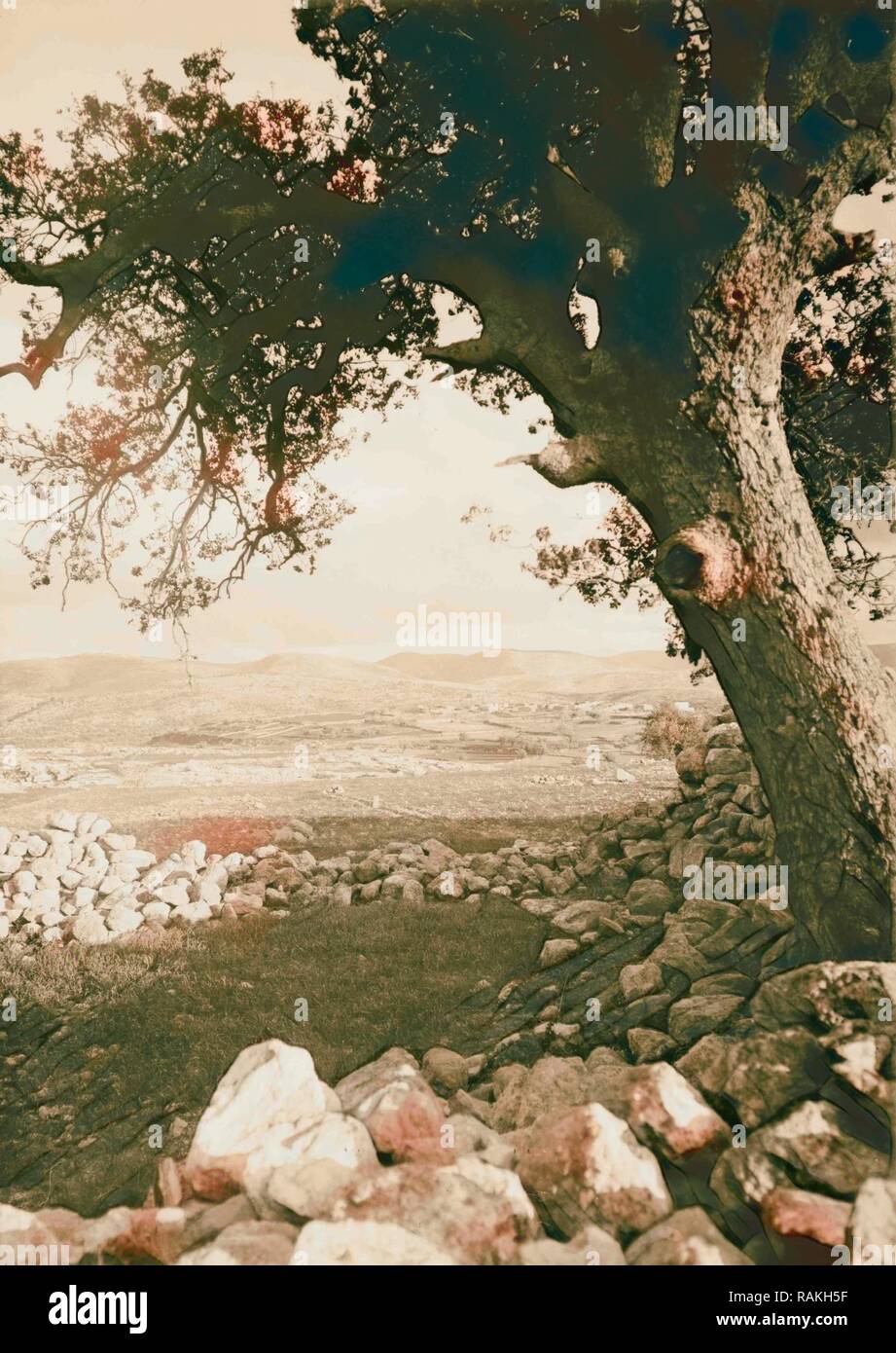 Tibna, north west of Jerusalem, Valley of Ajalon and Beth Horon 1900 ...