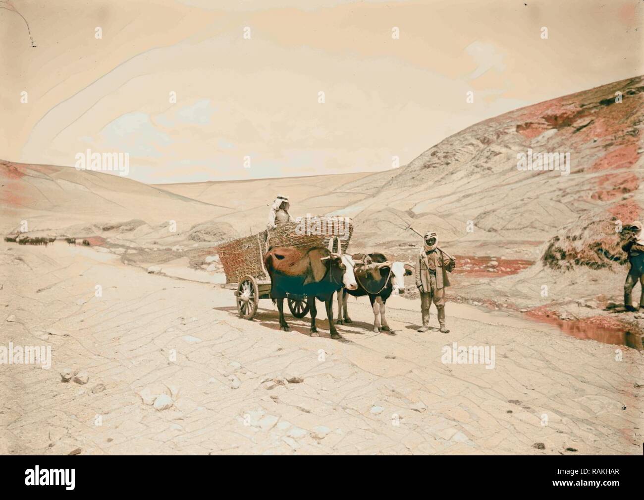 Circassian ox-cart 1900, Middle East, Israel and/or Palestine ...