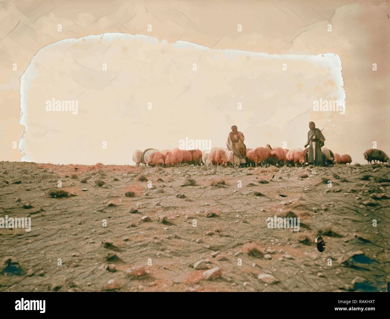 Nomadic shepherds israel hi-res stock photography and images - Alamy