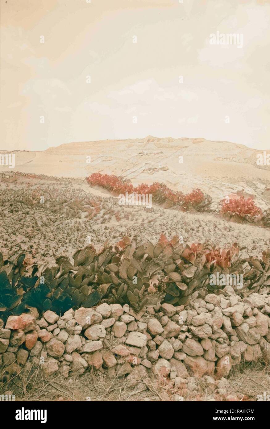 Tell Beit Mirsim. 1926, Israel, Debir (Extinct city). Reimagined by ...